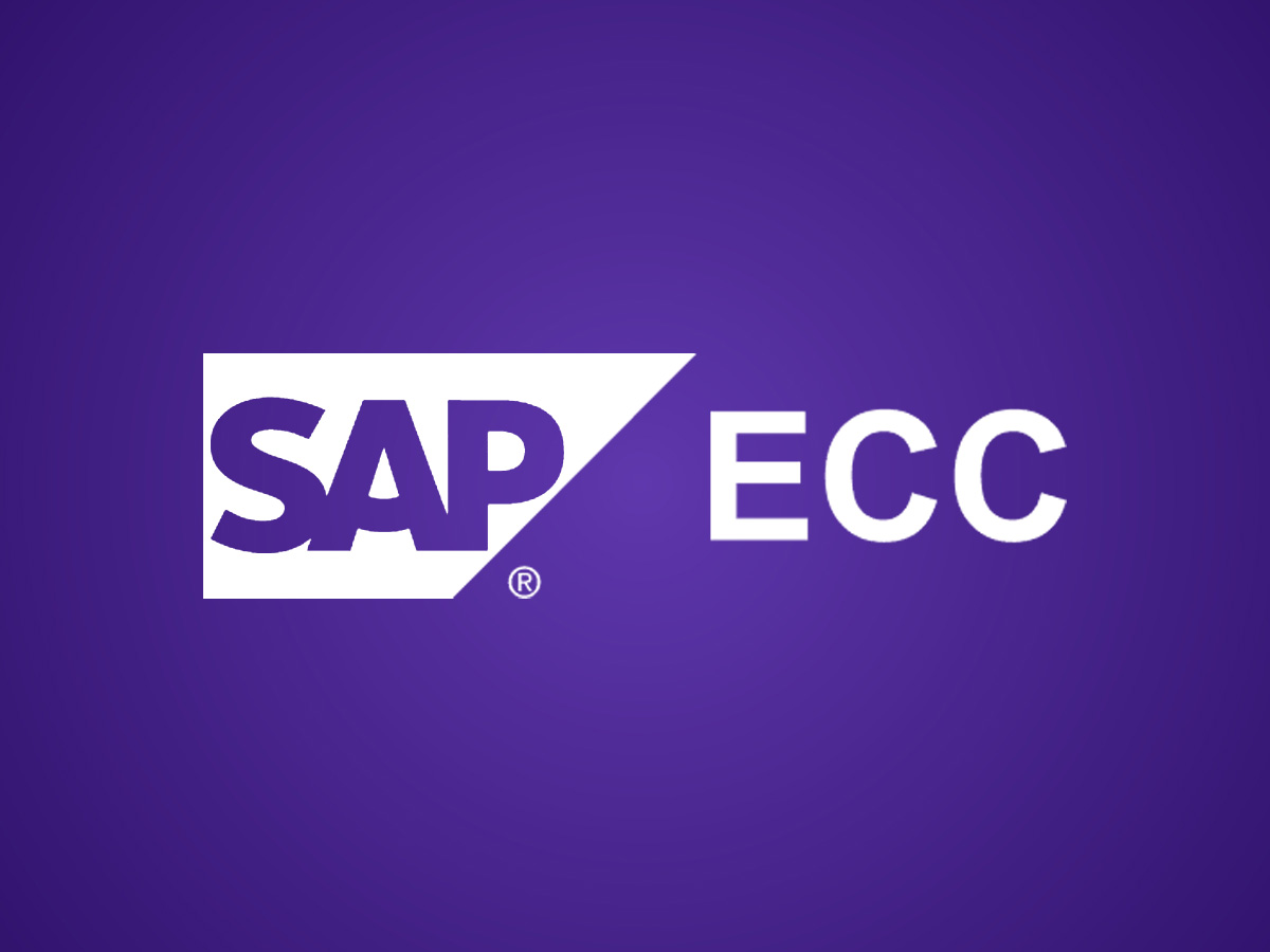 Integração ERP SAP ECC com Marketplaces e E-commerces: Otimize sua ...